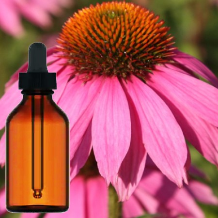 Buy the top quality Echinacea Liquid Extract in Brampton, Mississauga ...