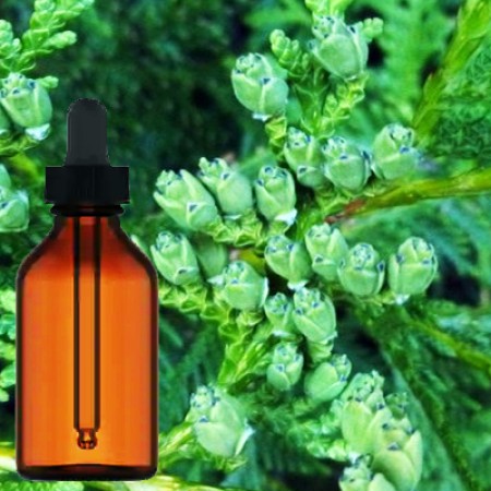 Buy the high quality Thuja Leafs Liquid Extract in Brampton ...